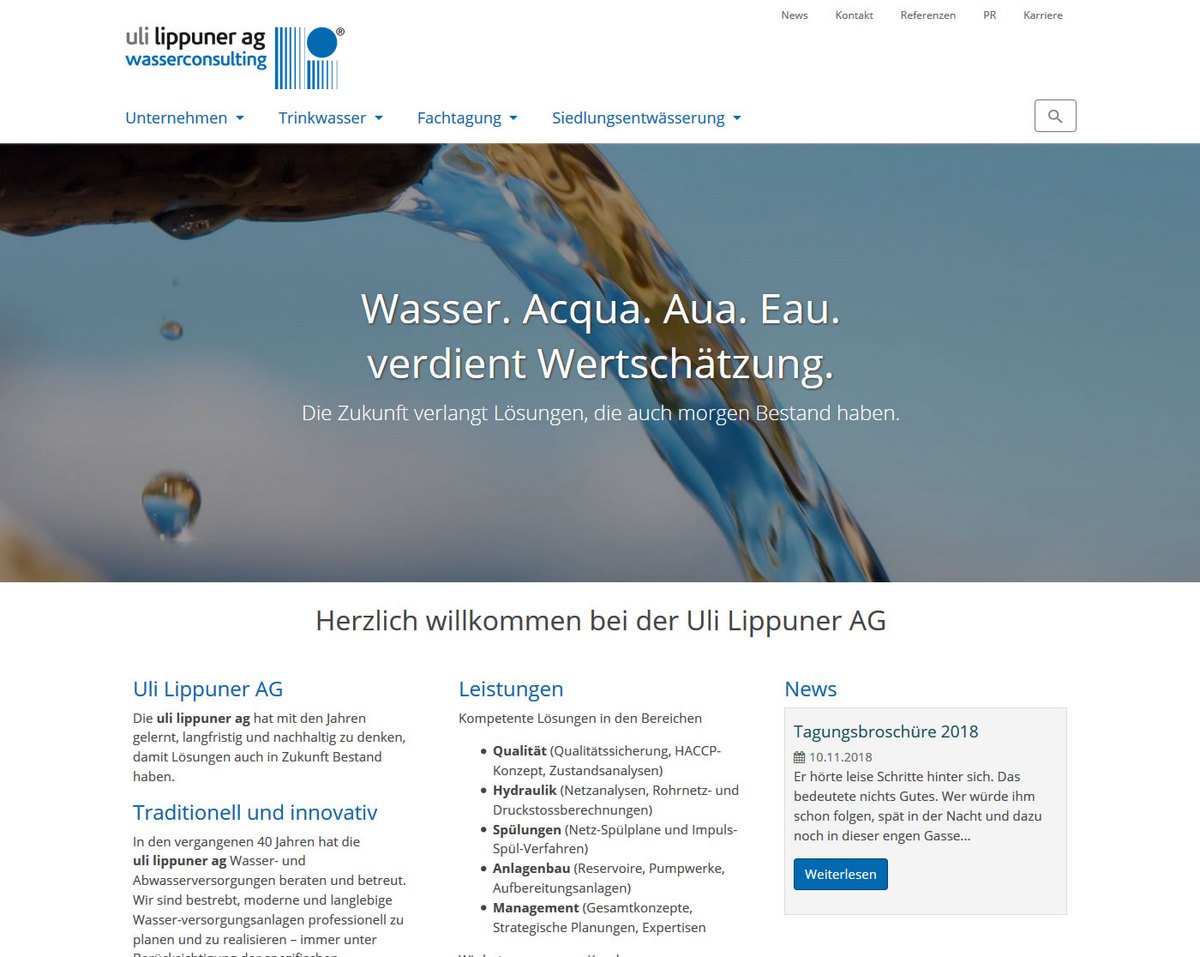 Webseite uli lippuner ag Sargans